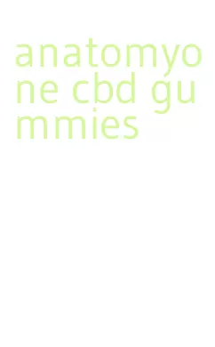 How anatomyone CBD Gummies Interact with the Body: What the Latest ...